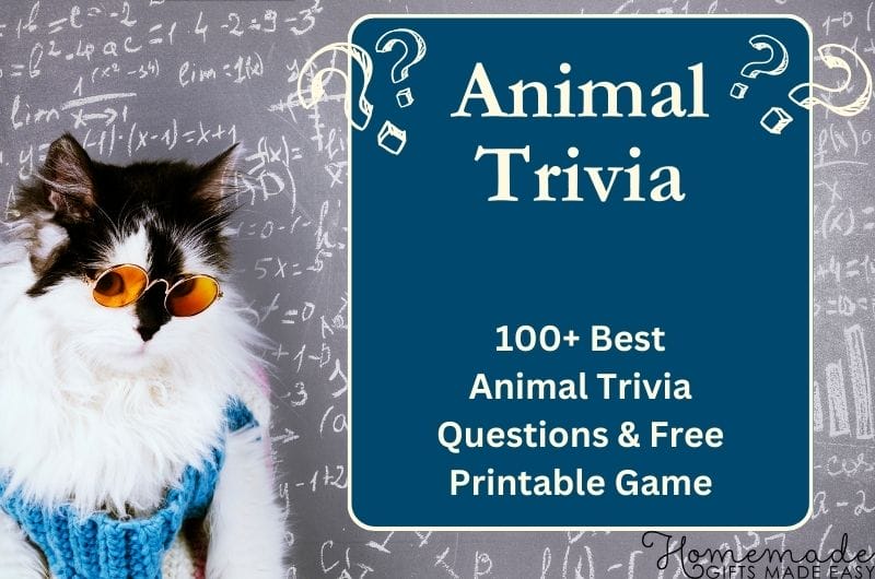 108 Animal Trivia Questions for Kids and Adults (with answers ...