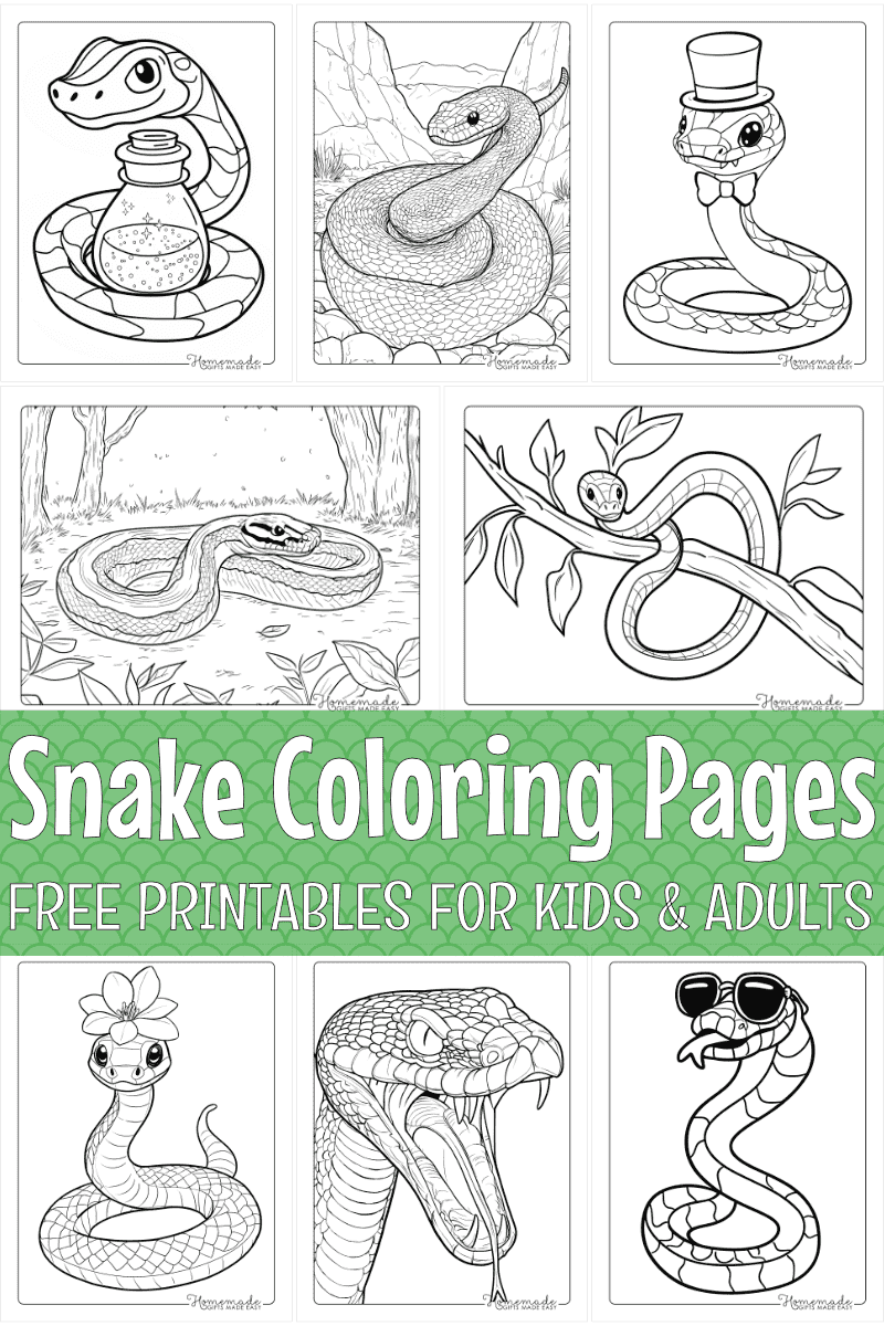 Free Snake Coloring Pages for Kids and Adults (PDF Printables ...